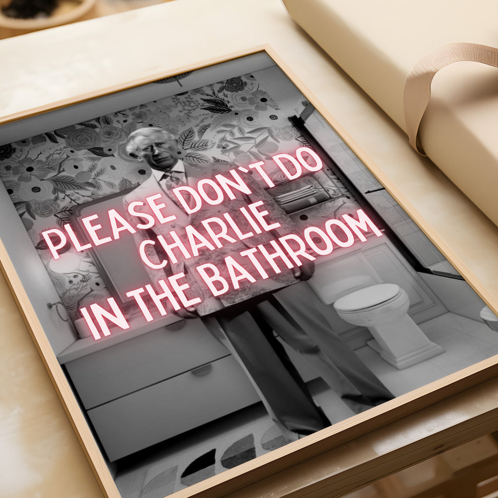 No Charlie (Mono) – Punk Haus